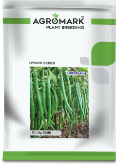 Hot Pepper | Agromark