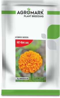 Marigold | Agromark
