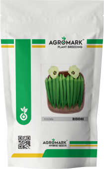 Sponge-Gourd | Agromark